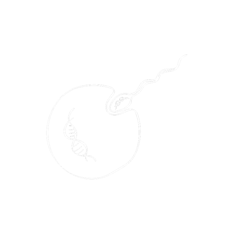 The Conception Connection - Dr Leah Hechtman